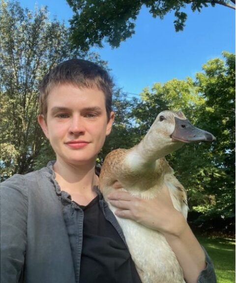 Telehealth - Connect Counseling Center